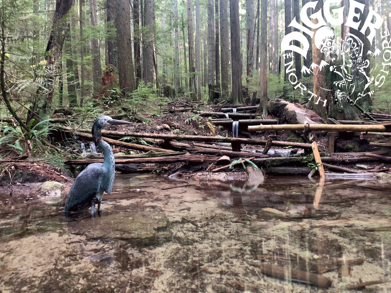 Digger Know Fear | Todd Fiander’s Website